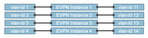 EVPN Configuration | Rick Mur